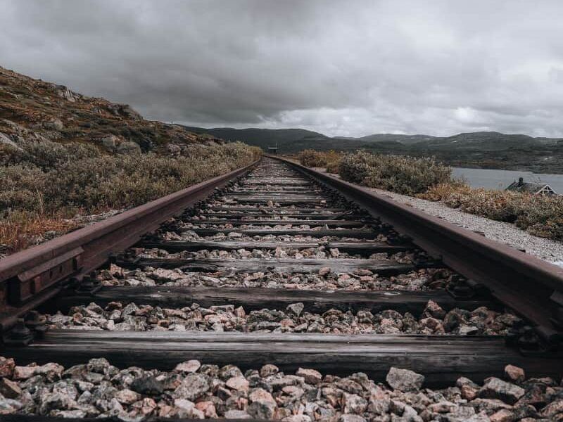 The Difference Between Bottom Ballast and Top Ballast - Lynx Cat